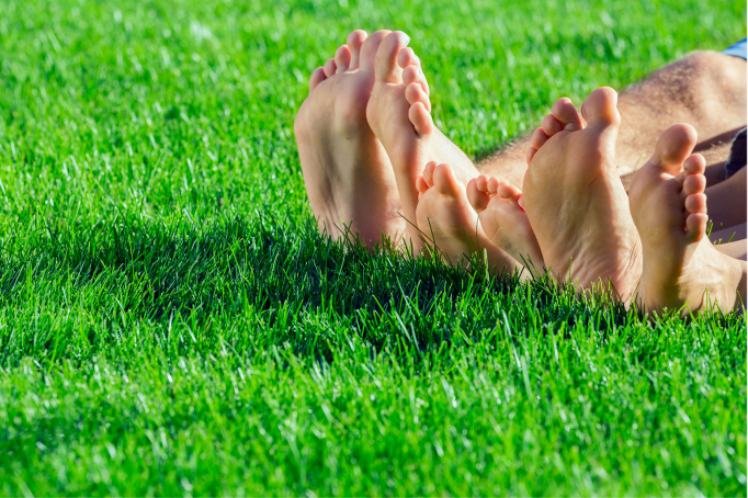 How To Choose The Best Turf | ALC Turf