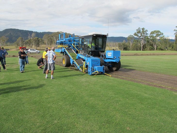 Premium Turf Harvesting Brisbane and Gold Coast