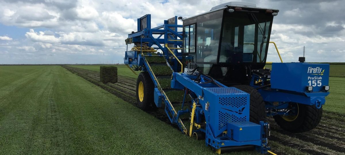 Turf Grass and Lawn Suppliers Brisbane Gold Coast QLD - ALC Turf