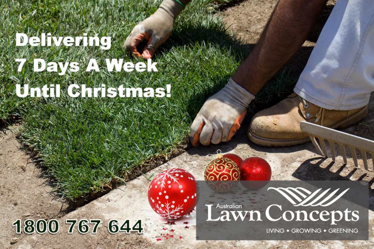 Delivering 7 Days A Week Until Christmas | ALC Turf