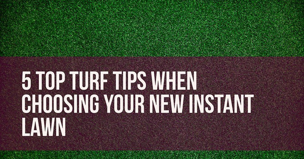 5 Top Turf Tips when choosing your new instant lawn