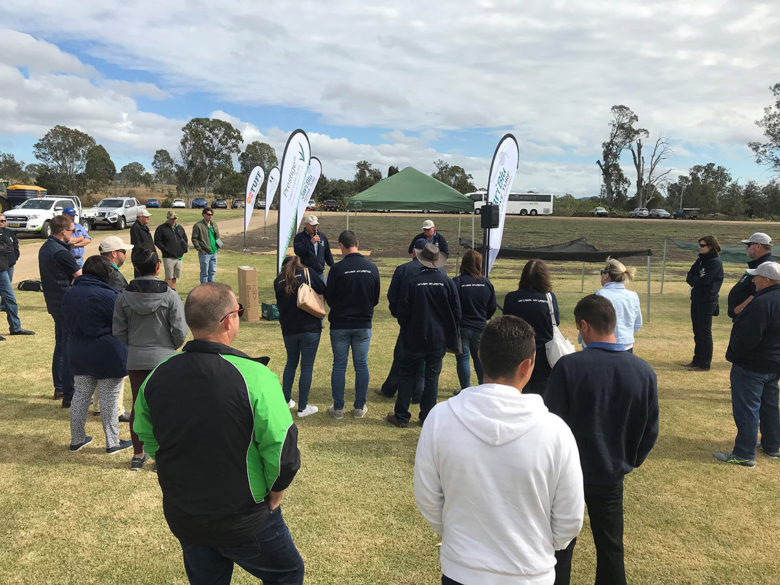 Turfbreed and My Home Turf 'A Whole New Turf Game'