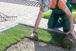 ALC Turf: Turf Grass and Lawn Suppliers Brisbane Gold Coast QLD