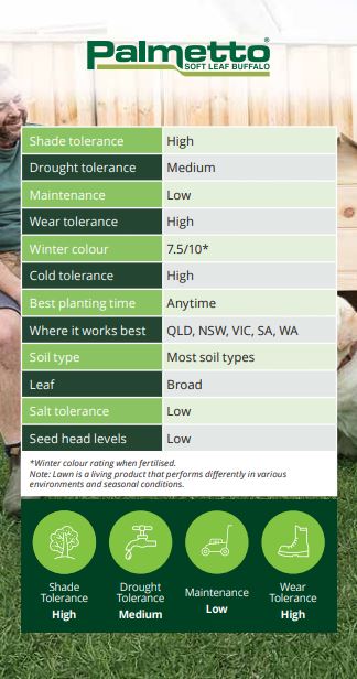 Buffalo Grass Turf Varieties, Features, Benefits and Pricing