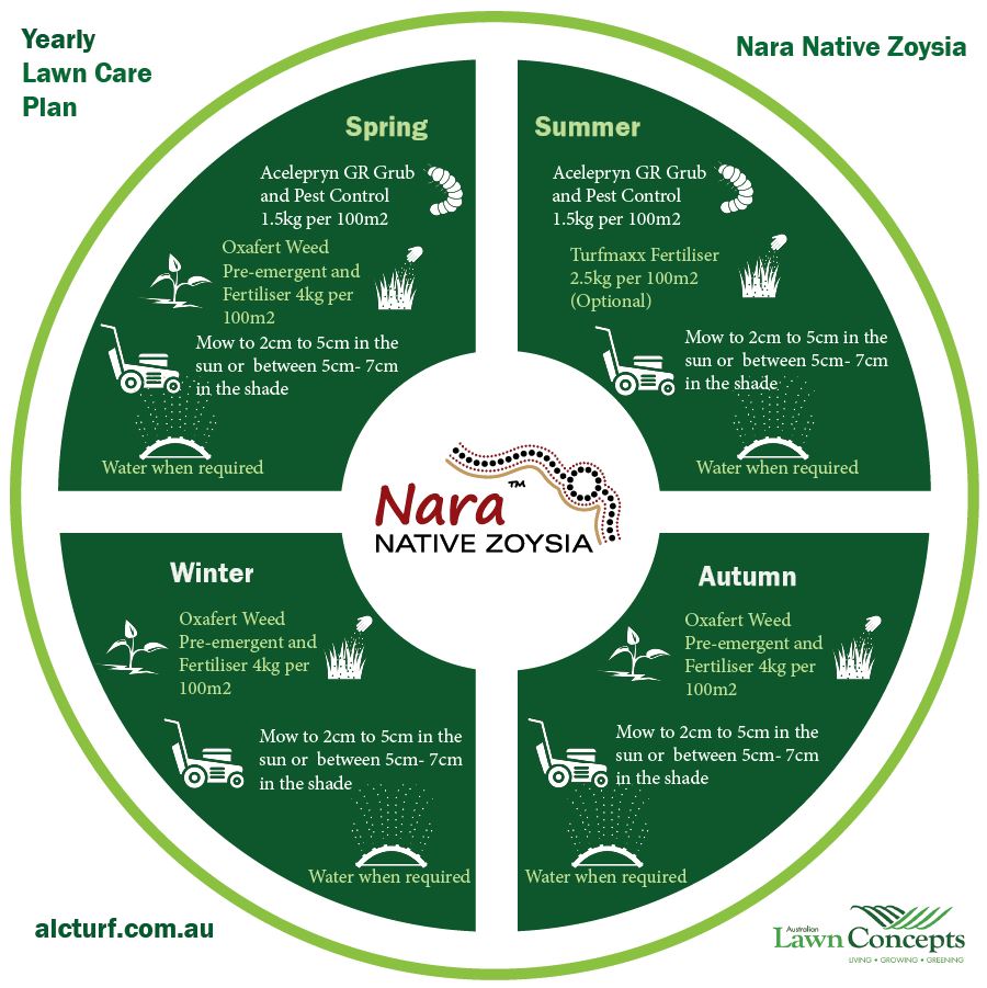Nara Native Zoysia - Turf Farm ALC | Brisbane | Queensland