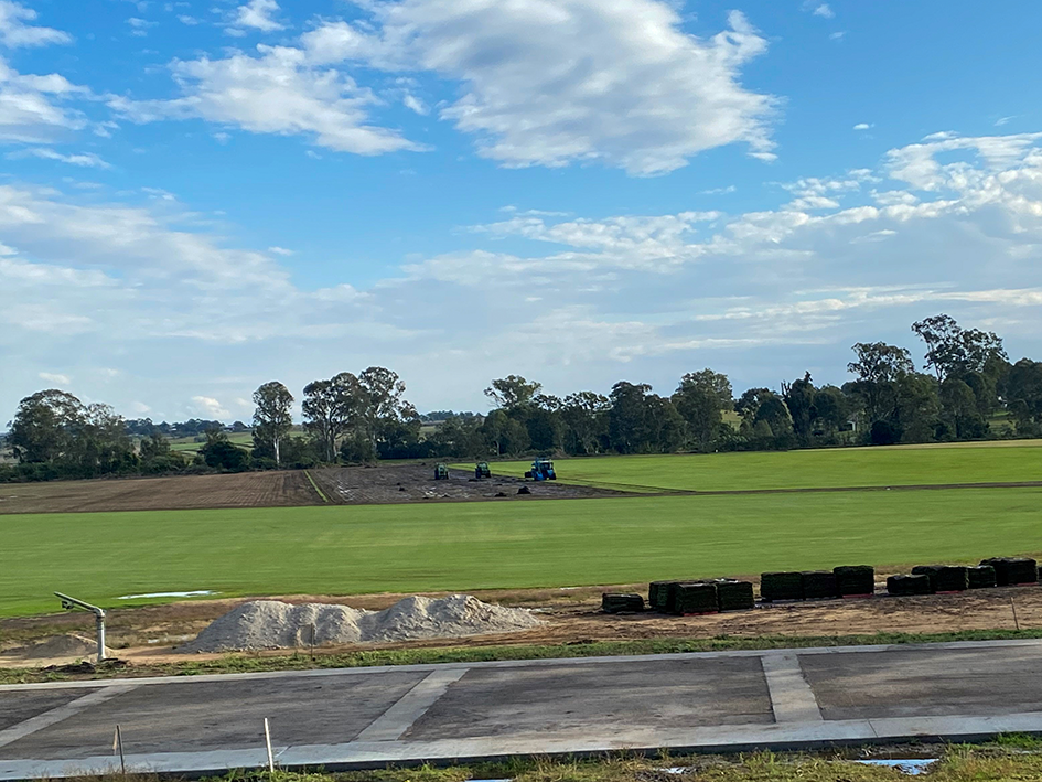 Premium turf direct from the farm - ready for Spring