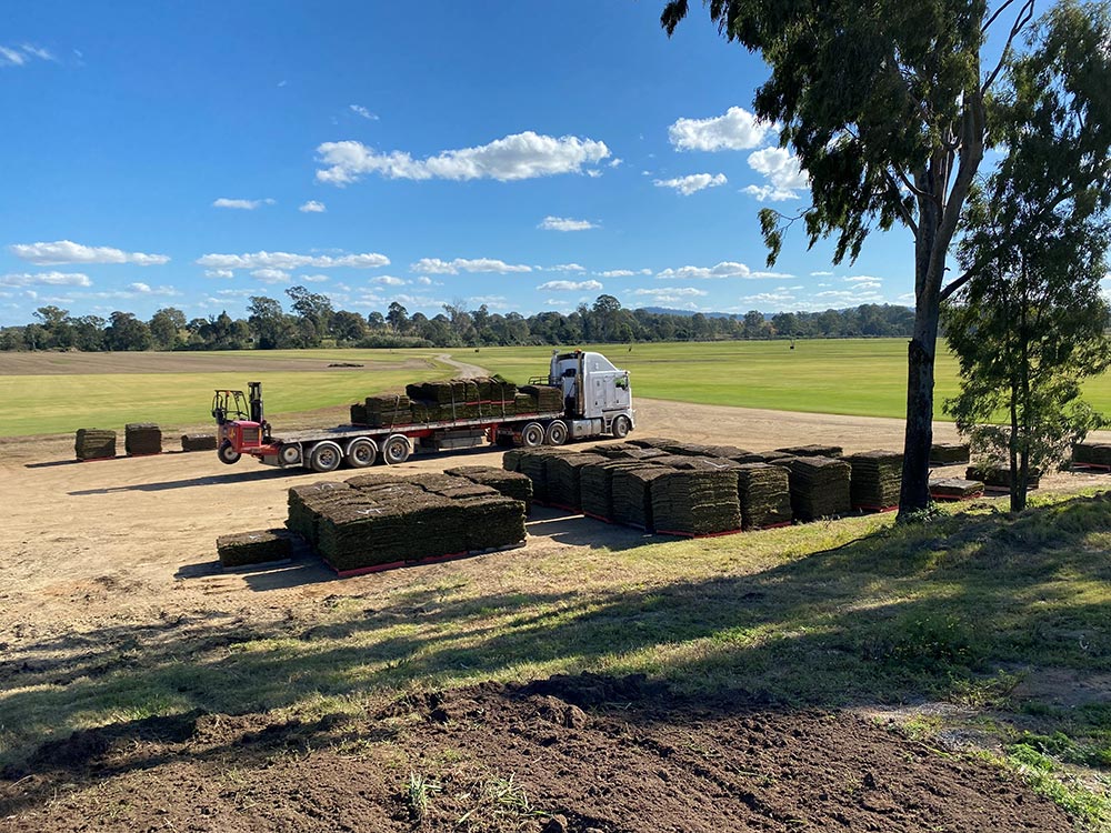 Now Is A Great Time To Lay A New Premium Lawn | ALC Turf