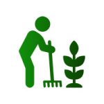 ALC Turf: Turf Grass and Lawn Suppliers Brisbane Gold Coast QLD