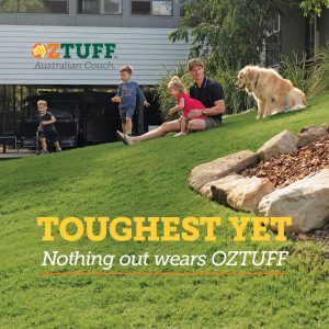 News - Turf Farm ALC