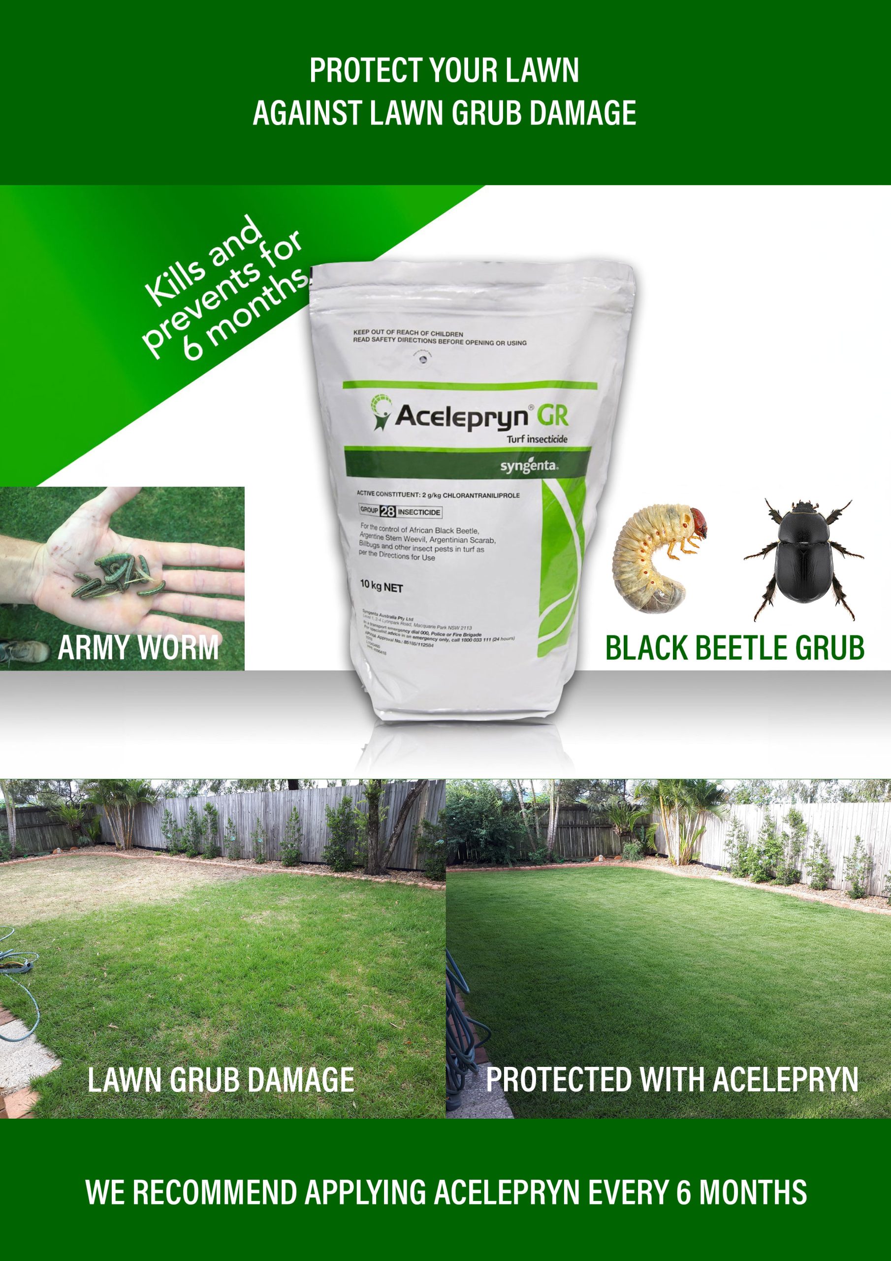 Acelepryn every 6 months to protect your lawn against lawn grubs