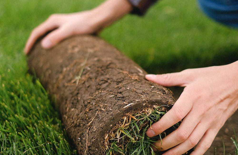 Large Turf Orders: Ensuring Quality | ALC Turf