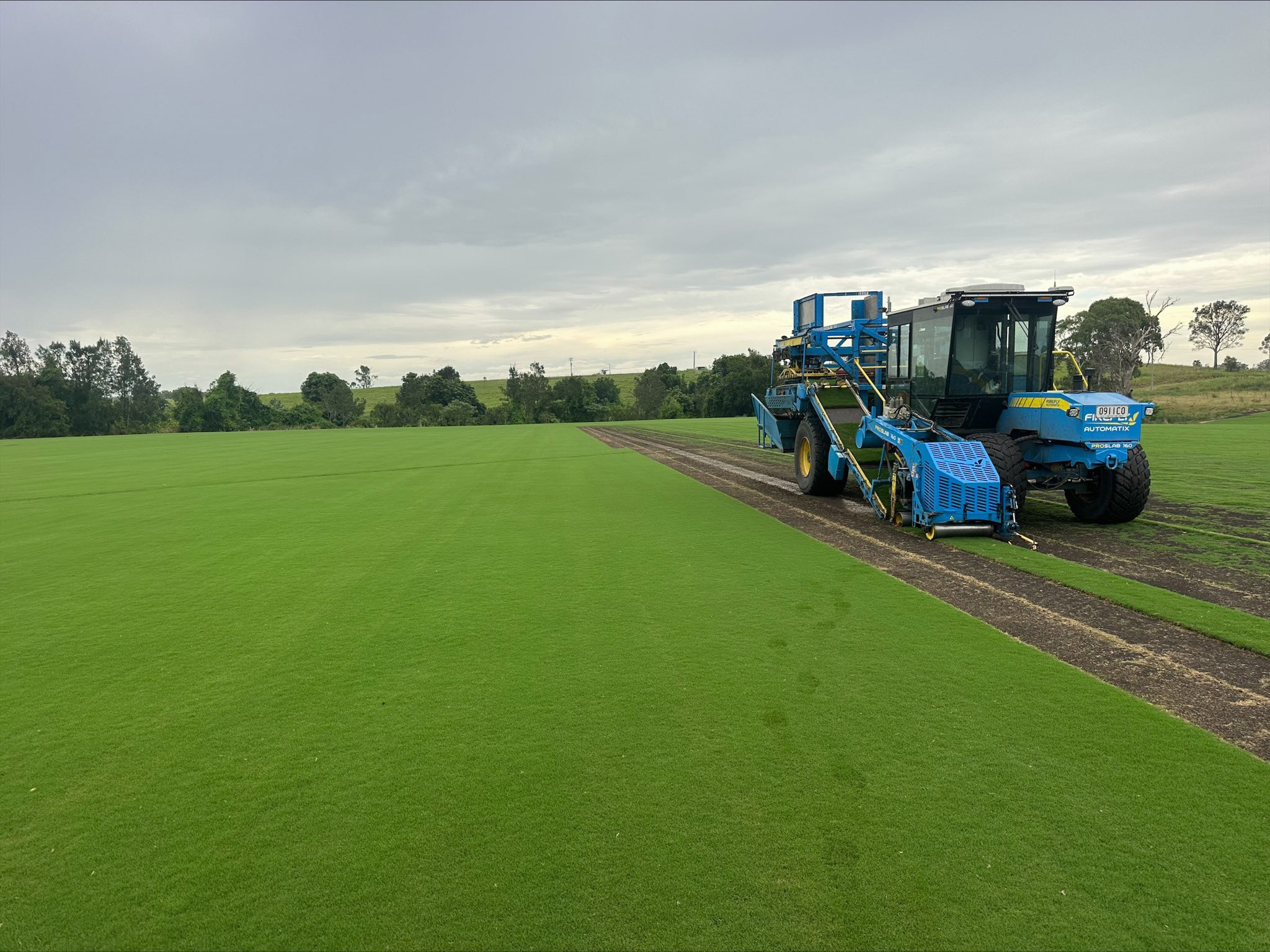 IronCutter® Is The Newest Elite Bermudagrass Is On The Market