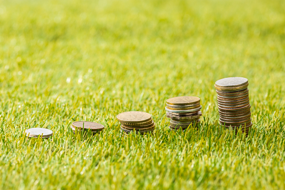 Navigating Lawn Turf Prices: Things Homeowners Should Know
