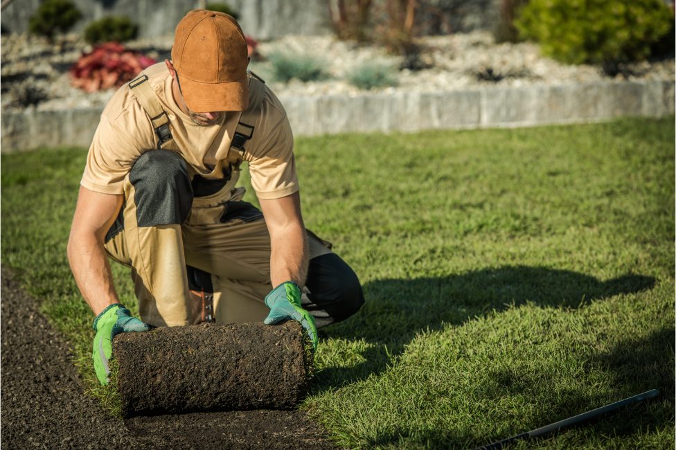 How to Lay Turf at Your Own Home | ALC Turf