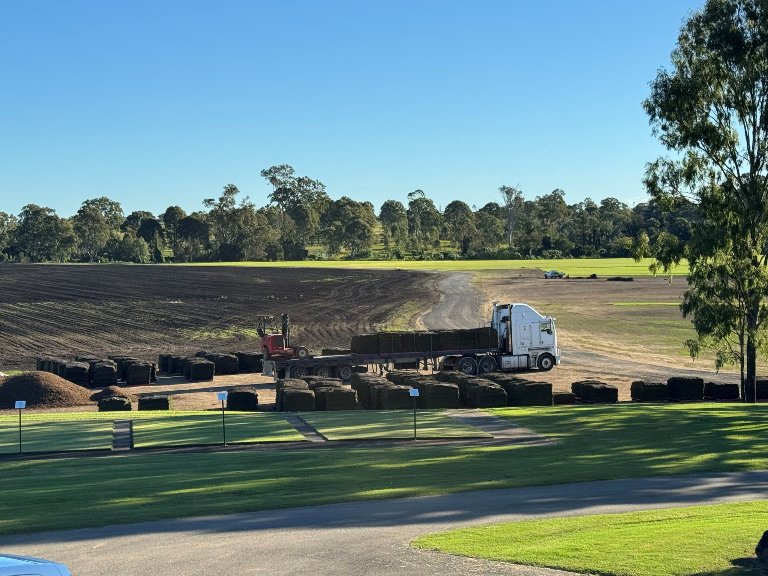 ALC Turf: Turf Grass and Lawn Suppliers Brisbane Gold Coast