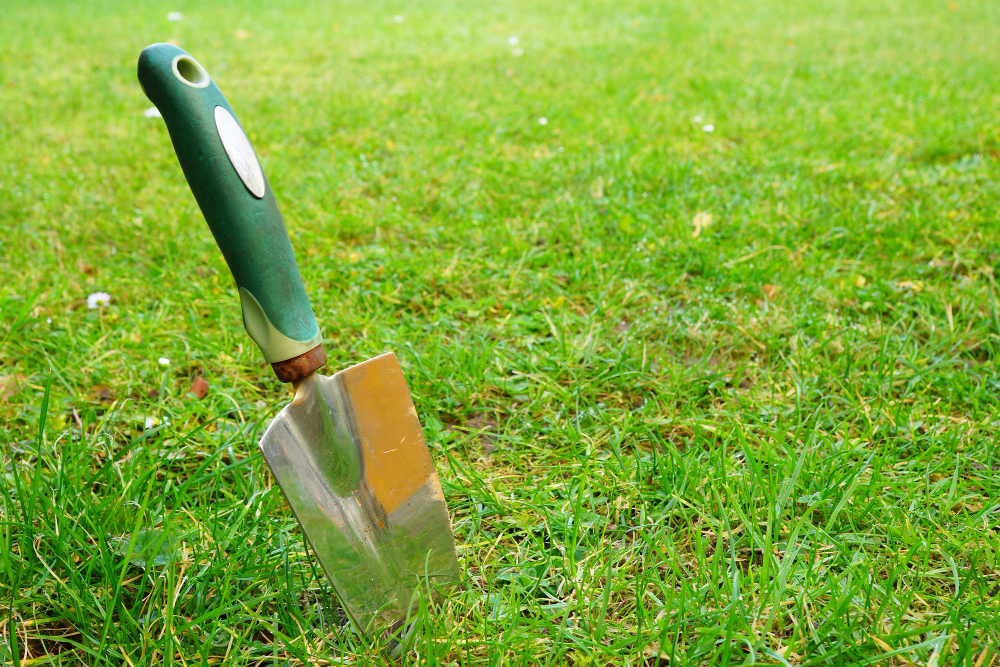 Spring Lawn Preparation: What You Need to Know | ALC Turf